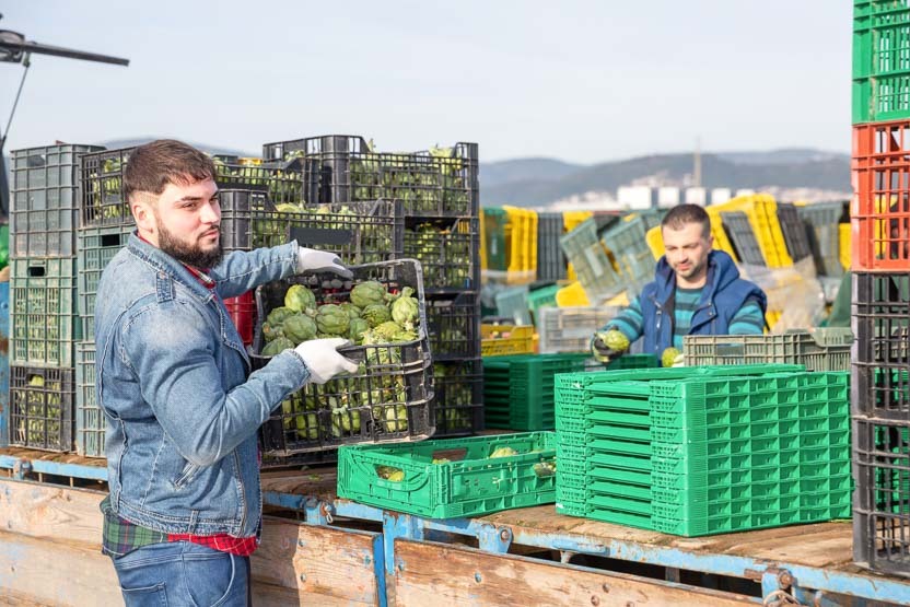 Take care of your crops - learn about containers, carts and other ...